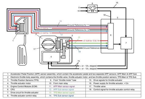 6 Pin Accelerator Pedal Position Sensor Wiring Diagram Tire Pressure
