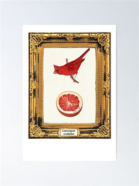 Convergent Evolution Red Cardinal And Red Orange Poster For Sale By
