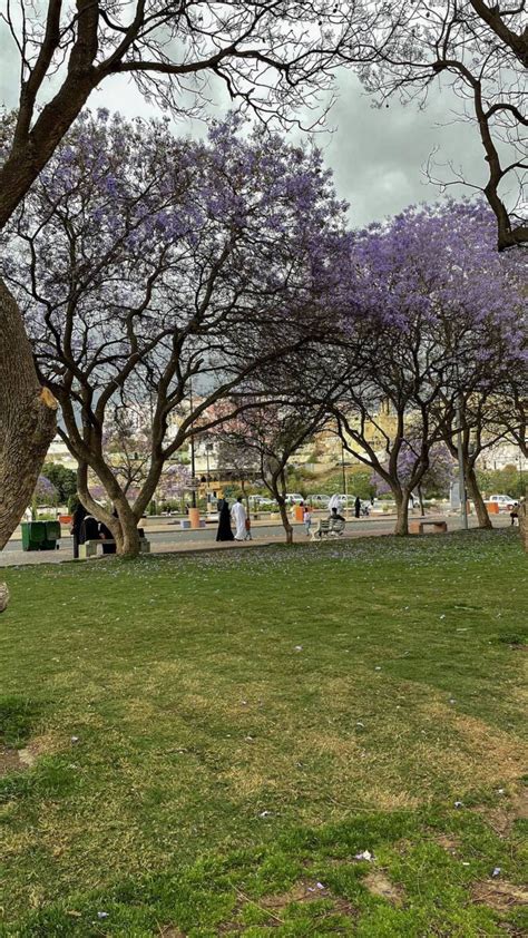 لف في صور حلوه In 2022 Birthday Post Instagram Instagram Birthday Posts