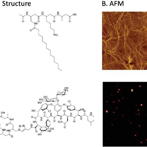 Structure Of Two B 3 Peptides A The Self Assembling C14 Lipidated B