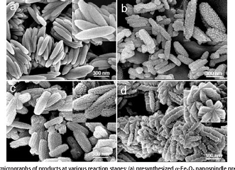 Ion Semiconductor Sequencing Semantic Scholar