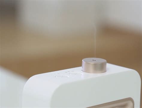 Loxim Pride Diffusers Collections