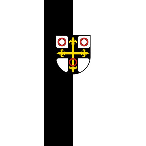 Vlag Neckarsulm 100x150cm