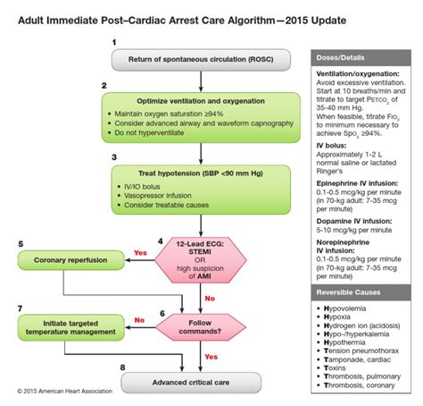 Adult Immediate Post Cardiac Arrest Care Algorithm 2015 Update