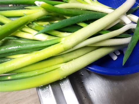 수미반찬의 대파김치