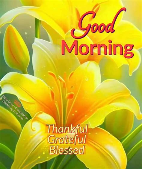 Thankful Grateful Blessed Good Morning Pictures Photos And Images