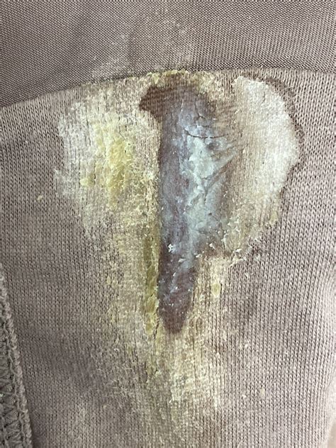 힛 On Twitter 9일 팬티 택포 6🖤 냄새 쩔어요 입던팬티 페티쉬 페티쉬물품 애액 냉 오줌 Lwawcd98dq Twitter