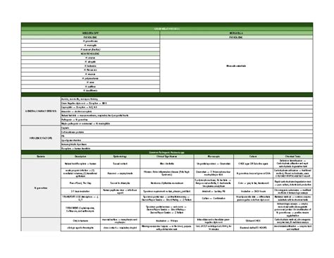 Bacteriology Flow Chart Identification Of Bacteria Gram Stain Gram