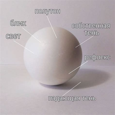 Светотень в рисунке Шар свет блик полутон полутень собственная тень рефлекс Рисунок карандашом
