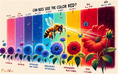 Can Bees See The Color Red No