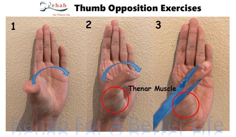 The Best Exercises For Your Painful Thumb Arthritis Rehab For A Better