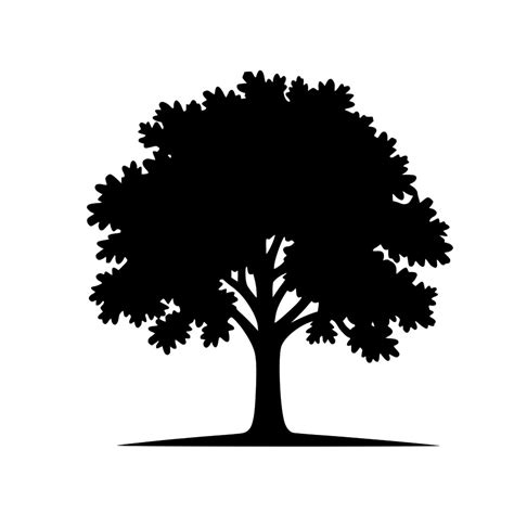 Strong Canopy Tree Creative Meadow