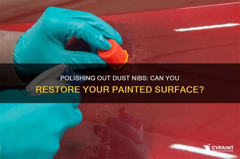 Polishing Out Dust Nibs Can You Restore Your Painted Surface Cypaint