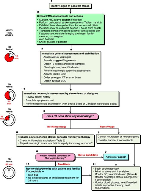 Part 9 Adult Stroke Circulation