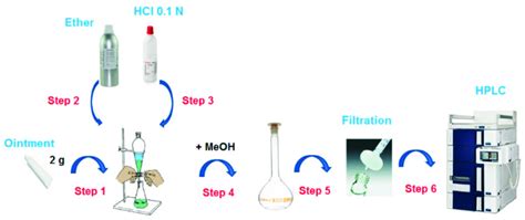 Graphical Presentation Of The Extraction Protocol For The Nasal