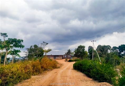 Hal Hal Yang Perlu Diketahui Sebelum Mengunjungi Desa Boti Di Pulau Timor