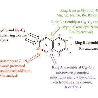 Solubility Of Potassium Tert Butoxide In Different Solvents Download