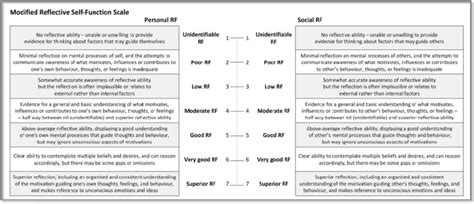 Instruction Sheet For The Modified Reflective Self Function Scale