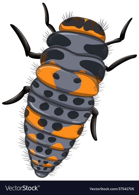 White Ladybug Larvae