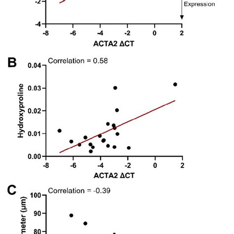 Increased Gene Expression Of Actin Alpha 2 Smooth Muscle Acta2 Gene