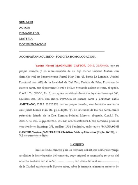 Modelo Homologacion Acuerdo Alimentos Pdf