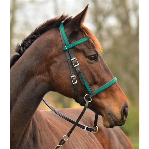 2 In 1 Bitless Bridle For Horses Any Two Color Combination Two
