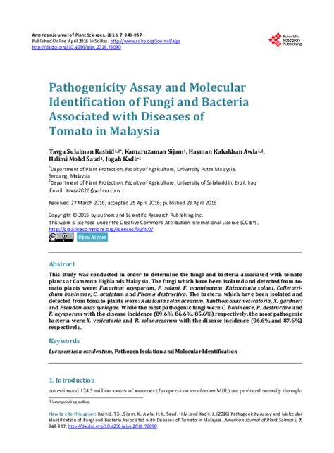 Pdf Pathogenicity Assay And Molecular Identification Of Fungi And