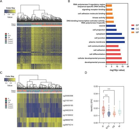 Spatial Deconvolution From Bulk Dna Methylation Profiles Determines