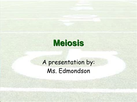 Ppt Meiosis Powerpoint Presentation Free Download Id 9149678