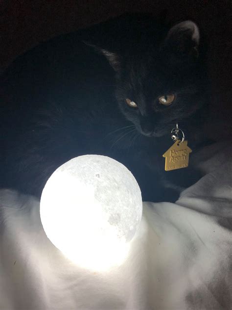 Witchy Pixie Fashion Photographer Aparte Photography Model Mua Styling Siena Hutton Facebook