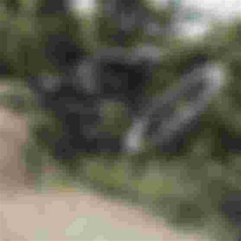 Wiliam Robert Ion Bike Athletes