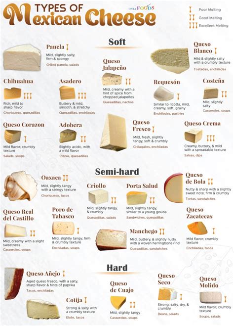 List Of The Types Of Mexican Cheese With Pictures