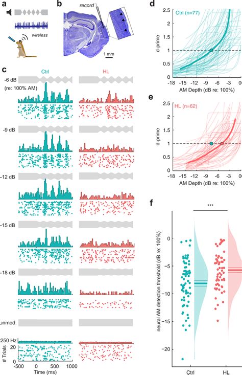 Single Unit Analysis Reveals Poorer Neural Detection Thresholds In The