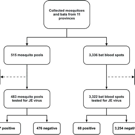 Map Overlaying Estimated Mosquito Flying Range And Bat Hunting Range In