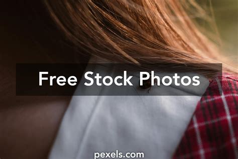 Insect Wallpaper Photos Download The Best Free Insect Wallpaper Stock