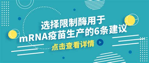 限制性内切酶的定义与分类 百时美