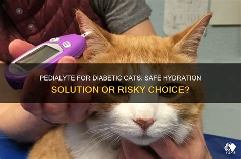 Pedialyte For Diabetic Cats Safe Hydration Solution Or Risky Choice