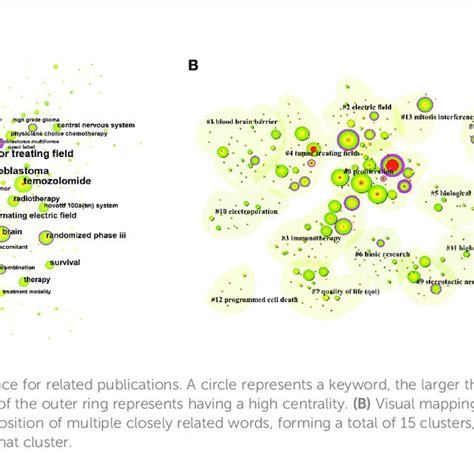 A Visualization Mapping Of The Top 20 Source Journals For Related Download Scientific Diagram