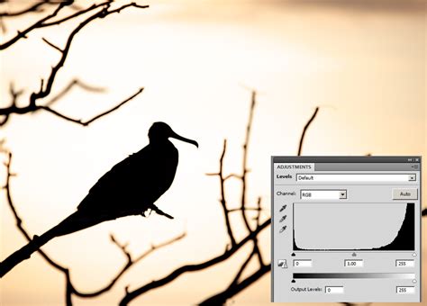 Getting It Right In The Digital Camera Using The Histogram