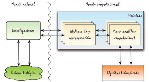 Conexión Entre Los Algoritmos Bioinspirados Y La Biología Adaptado De Conexión Entre Los Algoritmos Bioinspirados Y La Biología Adaptado De