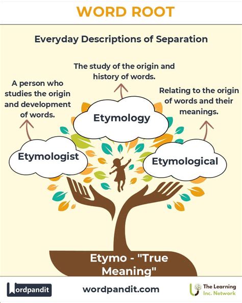 Origin Exploring History Etymology And Pronunciation