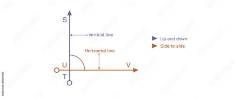 Vertical And Horizontal Line Vector Illustration 2d Coordination And 3d Coordination System