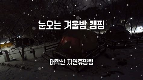 Ep29 눈오는 겨울밤 캠핑태학산자연휴양림 Youtube