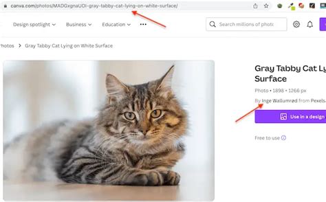 Do You Need To Reference Canva Images EXPLAINED FOR BEGINNERS Tooling Ant
