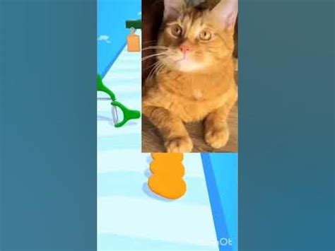Где Тик Ток Симбы?😳 #tiktok #shorts #симба #симбочка #рекомендации #рек ...