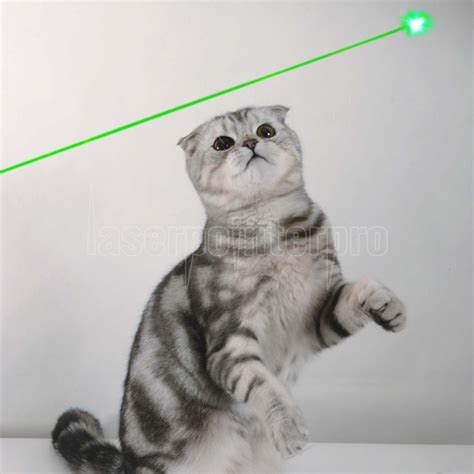 5mw 405nm Beam Light Purple Laser Pointer Pen Laserpointerpro