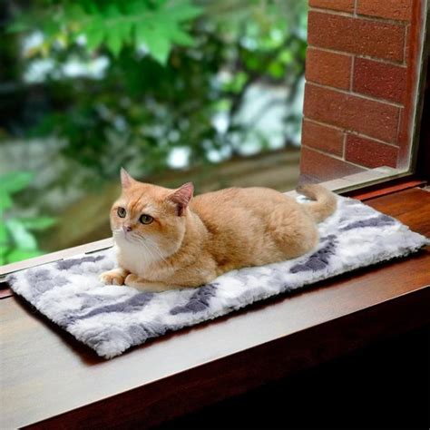 Vensterligstoel Voor Katten Zelfverwarmend Kattenbed Vensterbank