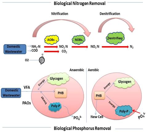 Simultaneous Removal Of Organic Matter And Nutrients From High Strength