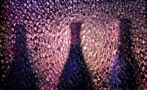 Jay Maisel Photographer