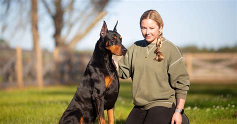 Doberman Puppies Spumanti Dobermans